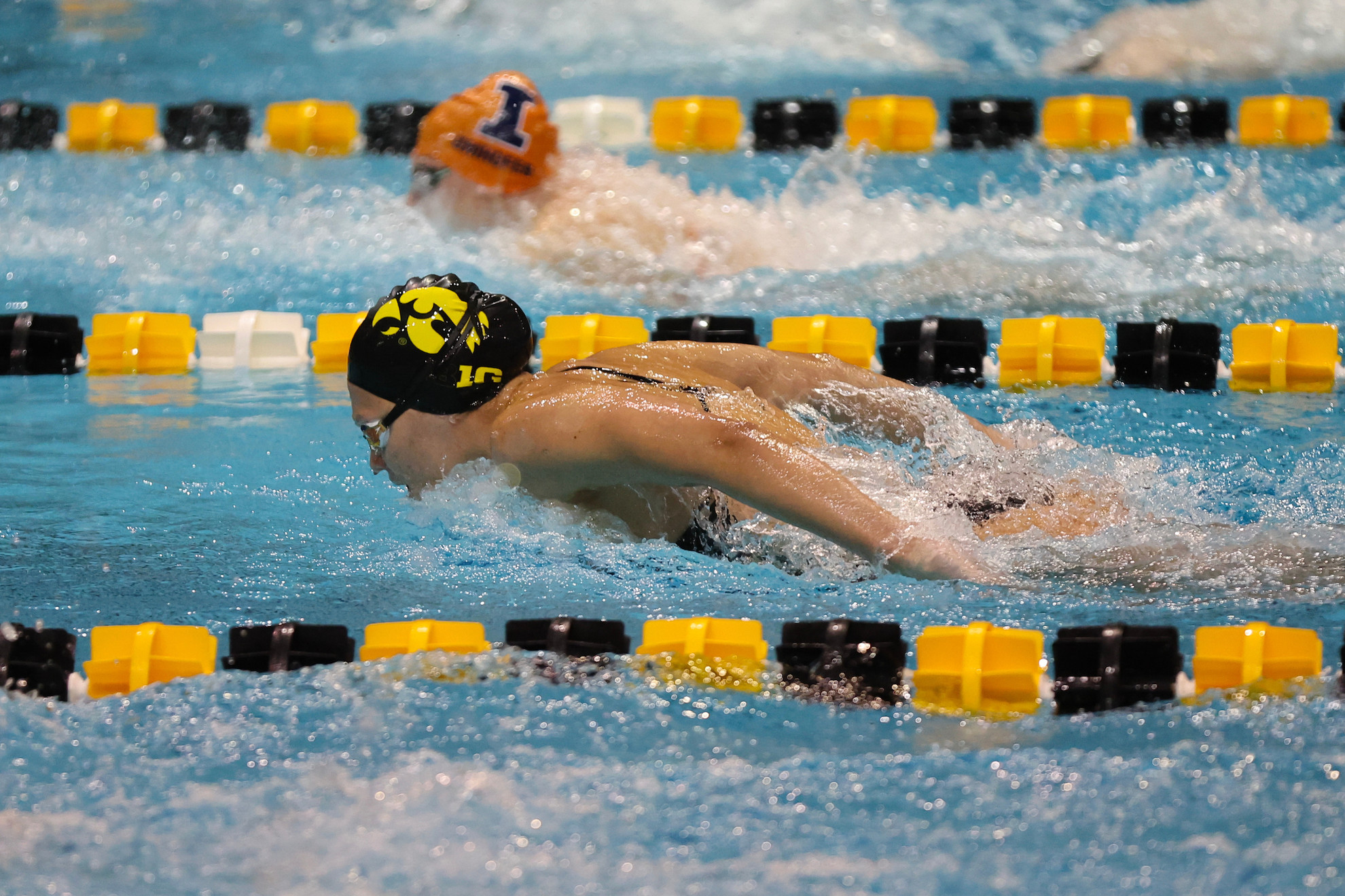 Swim & Dive Notes: Iowa Hosts Vanderbilt for Final Home Meet - Iowa ...