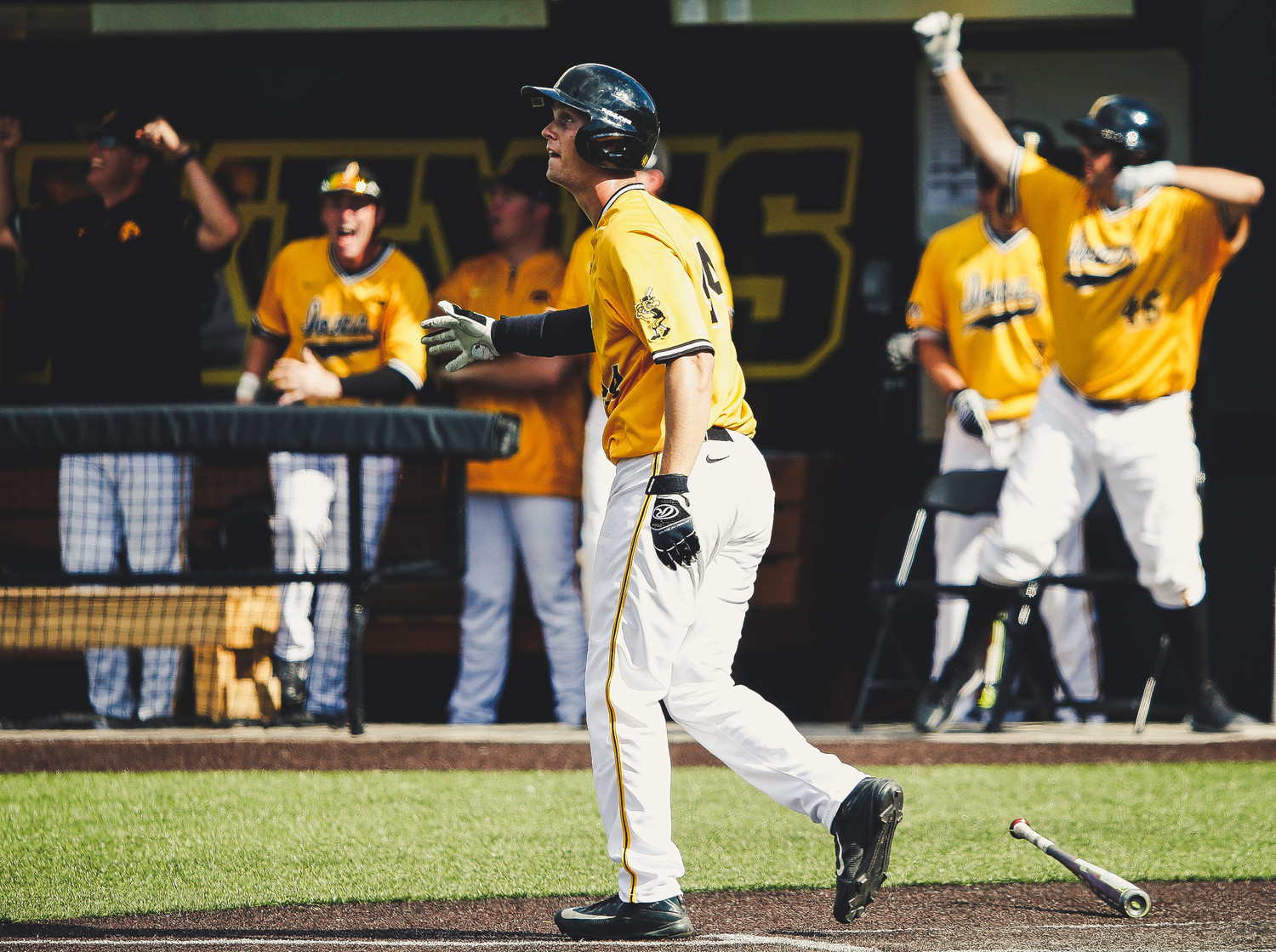 Baseball – Player Development – University of Iowa Athletics