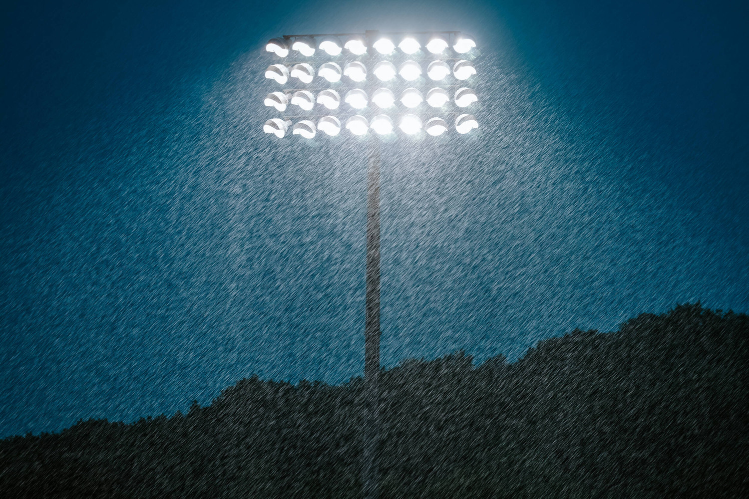 Stein Qualifies, Hawkeyes Underway at NCAA Prelims – University of Iowa ...