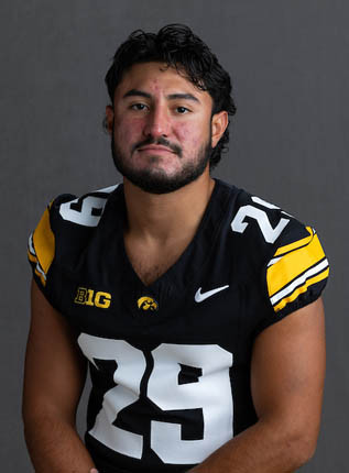 Sebastian Castro - Football 2019-20 - Iowa Hawkeyes Athletics ...