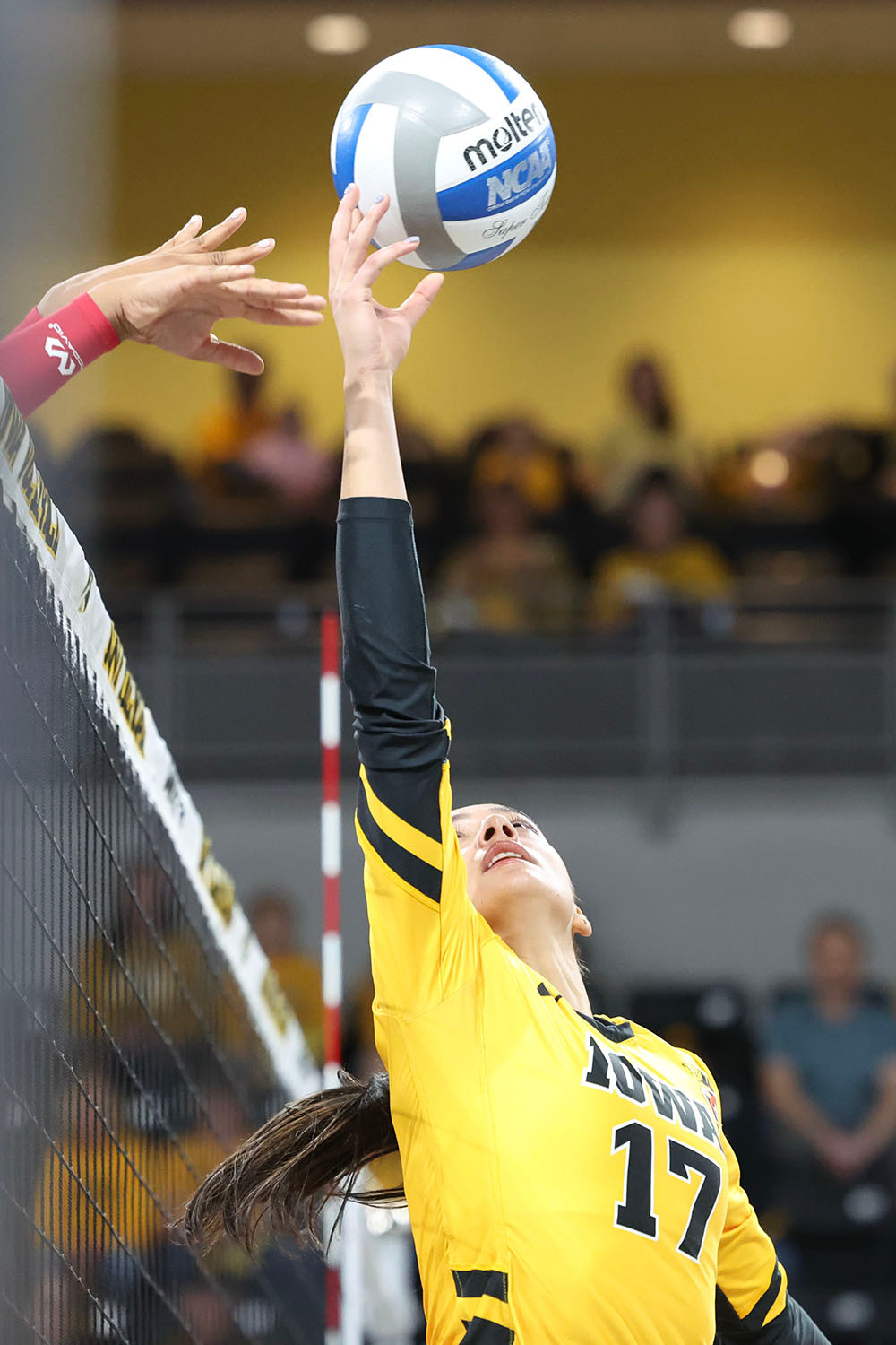 Photos: Iowa Volleyball vs Rutgers – University of Iowa Athletics