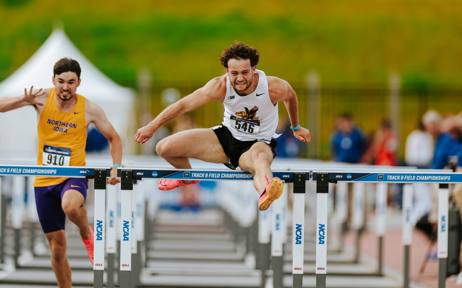 Stein Qualifies, Hawkeyes Underway at NCAA Prelims – University of Iowa ...