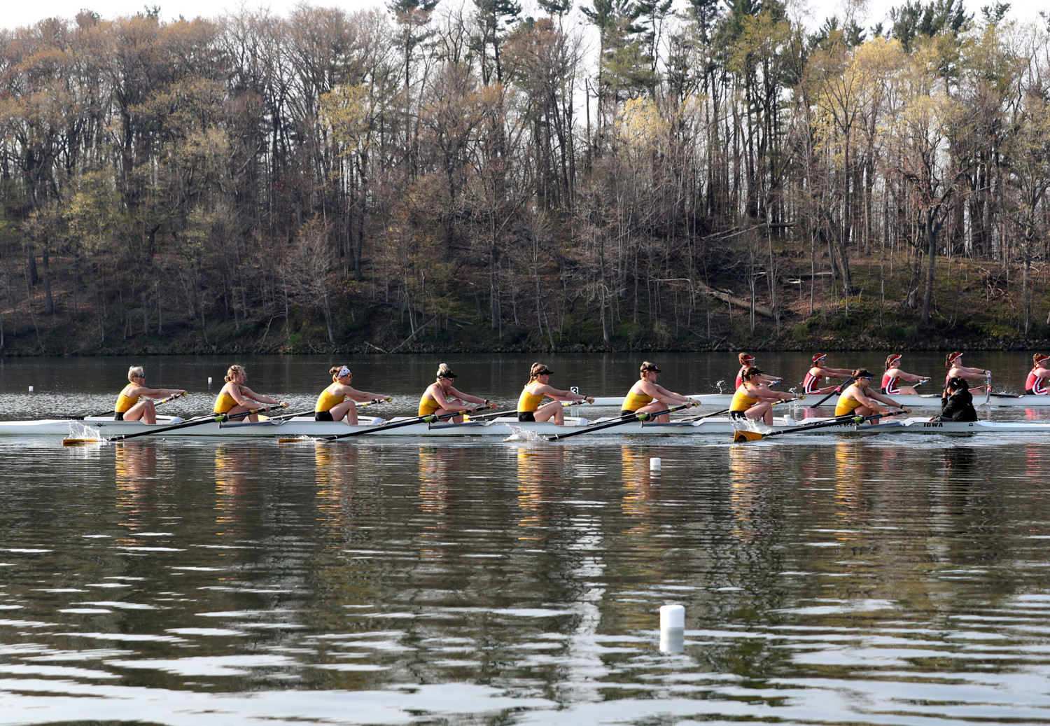 Photos: Iowa Rowing vs Minnesota, Wisconsin, Kansas, and Drake 04/24 ...