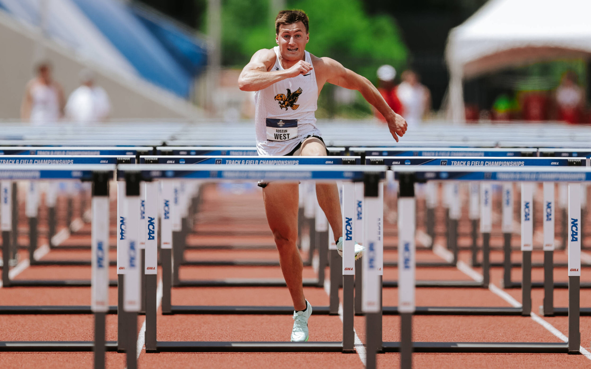 West Named Academic All-American - Iowa Hawkeyes Athletics - Official ...