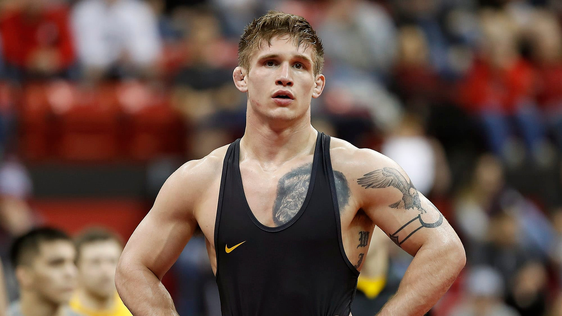 24 Hawkeyes to Watch: Cash Wilcke – University of Iowa Athletics