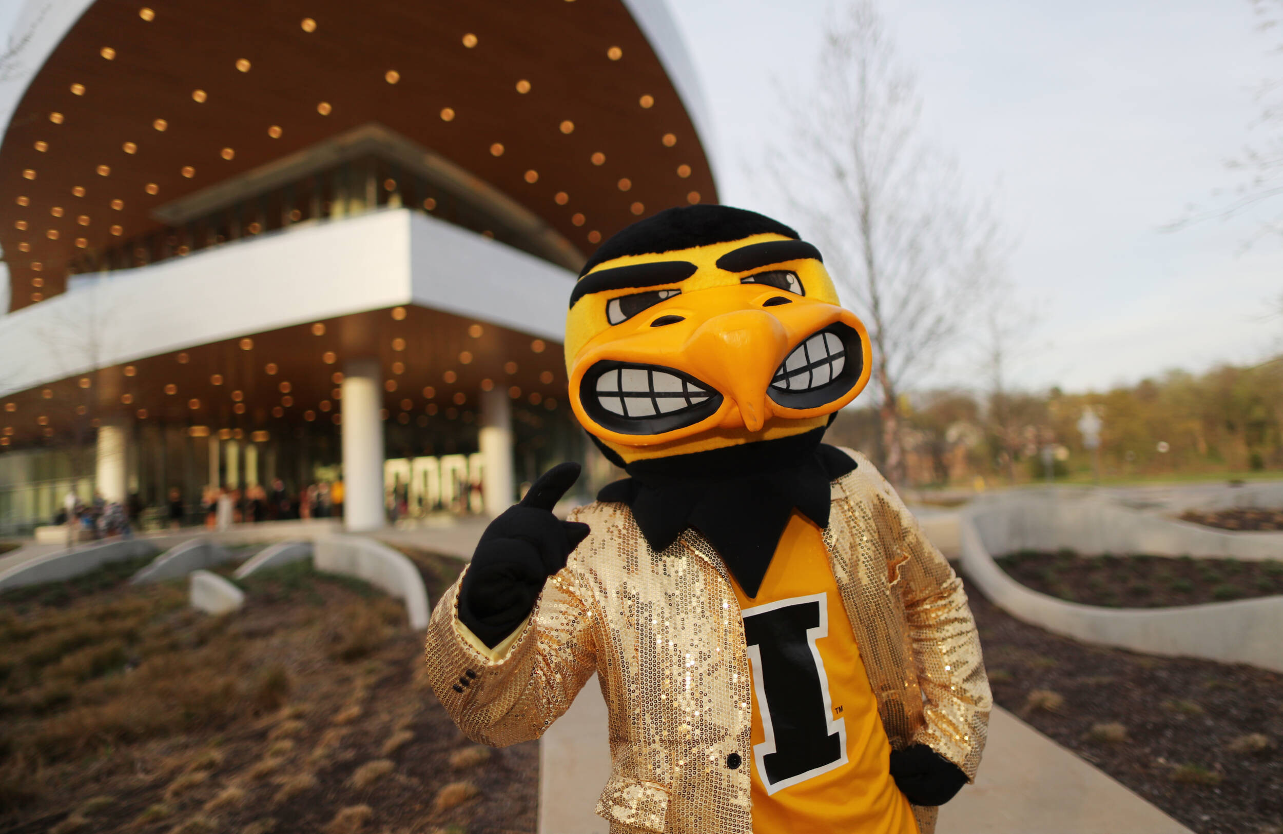 Hawkeye Award Winners Announced at Golden Herkys – University of Iowa ...