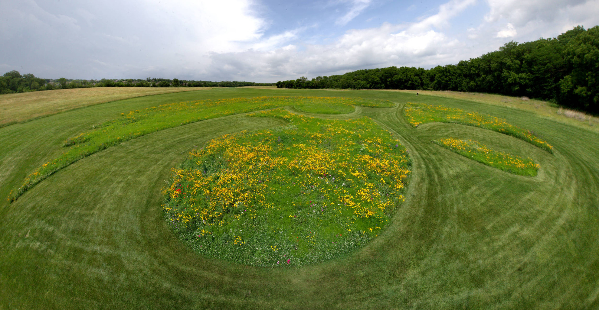 Hawkeyes Announce 2023 Cross Country Schedule - Iowa Hawkeyes Athletics ...