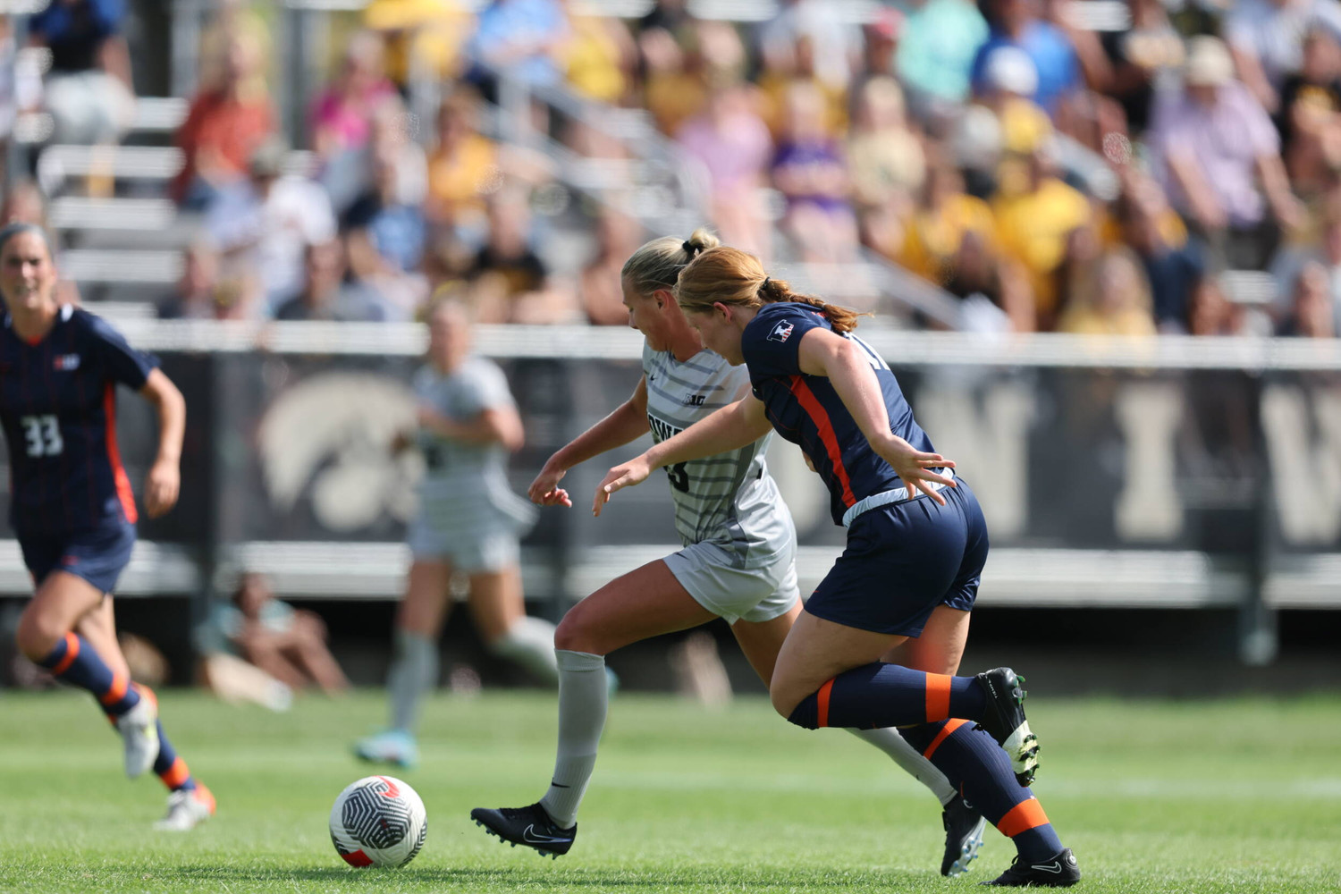 Iowa Ties Illinois, 1-1 – University of Iowa Athletics
