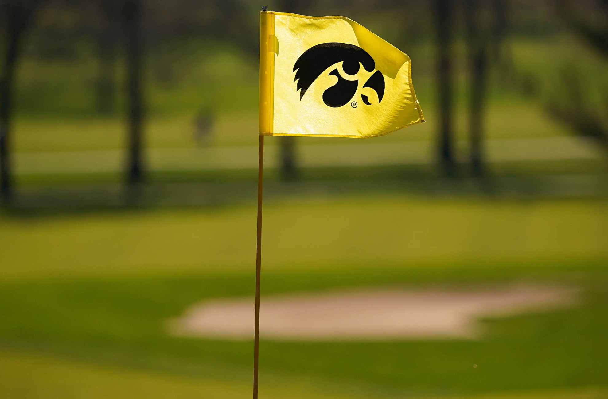 Iowa Men’s Golf Signs 3 - Iowa Hawkeyes Athletics - Official Athletics ...