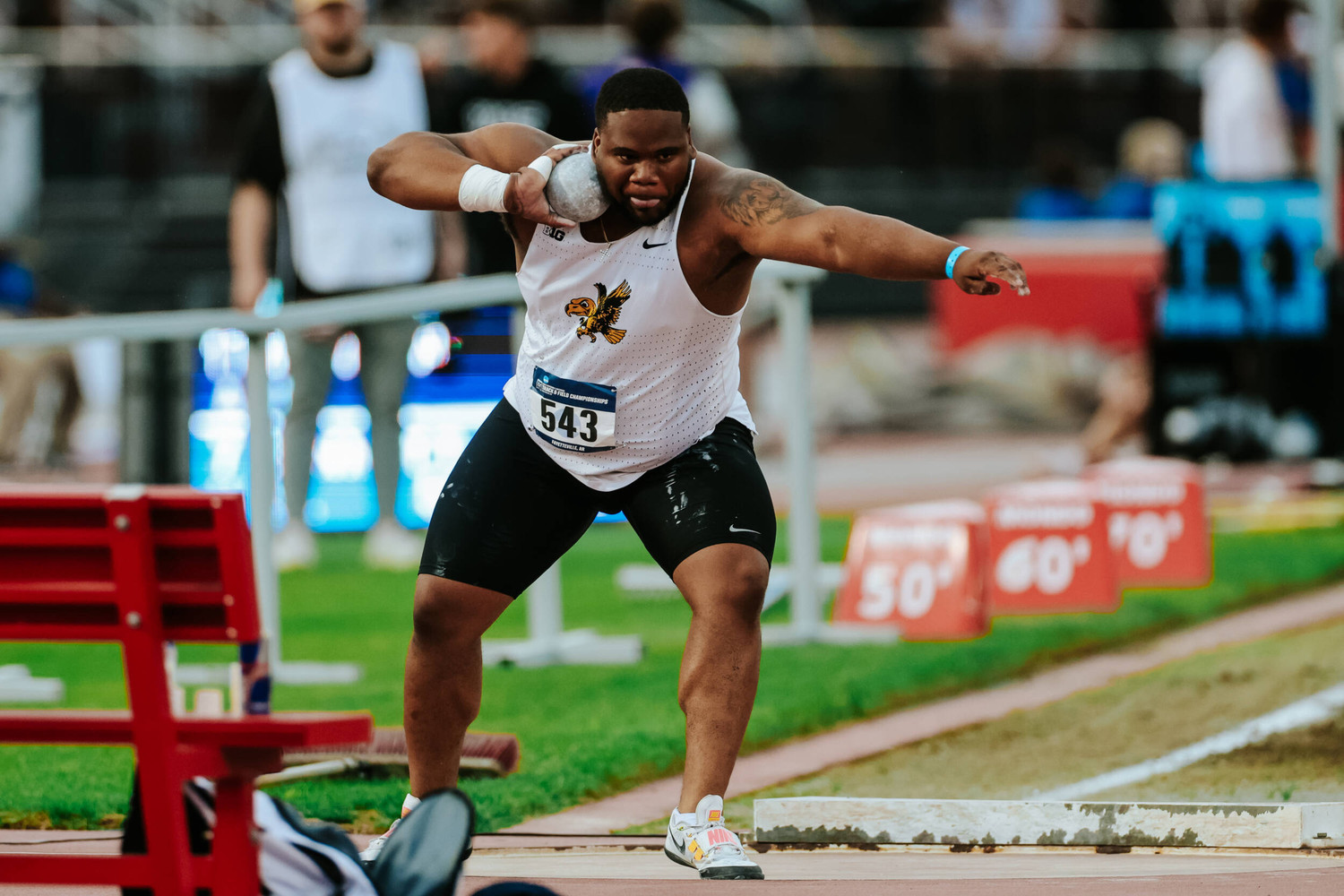 Stein Qualifies, Hawkeyes Underway at NCAA Prelims – University of Iowa ...