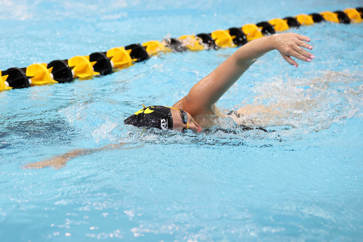 Swim & Dive Notes: Iowa Hosts Nebraska - Iowa Hawkeyes Athletics ...