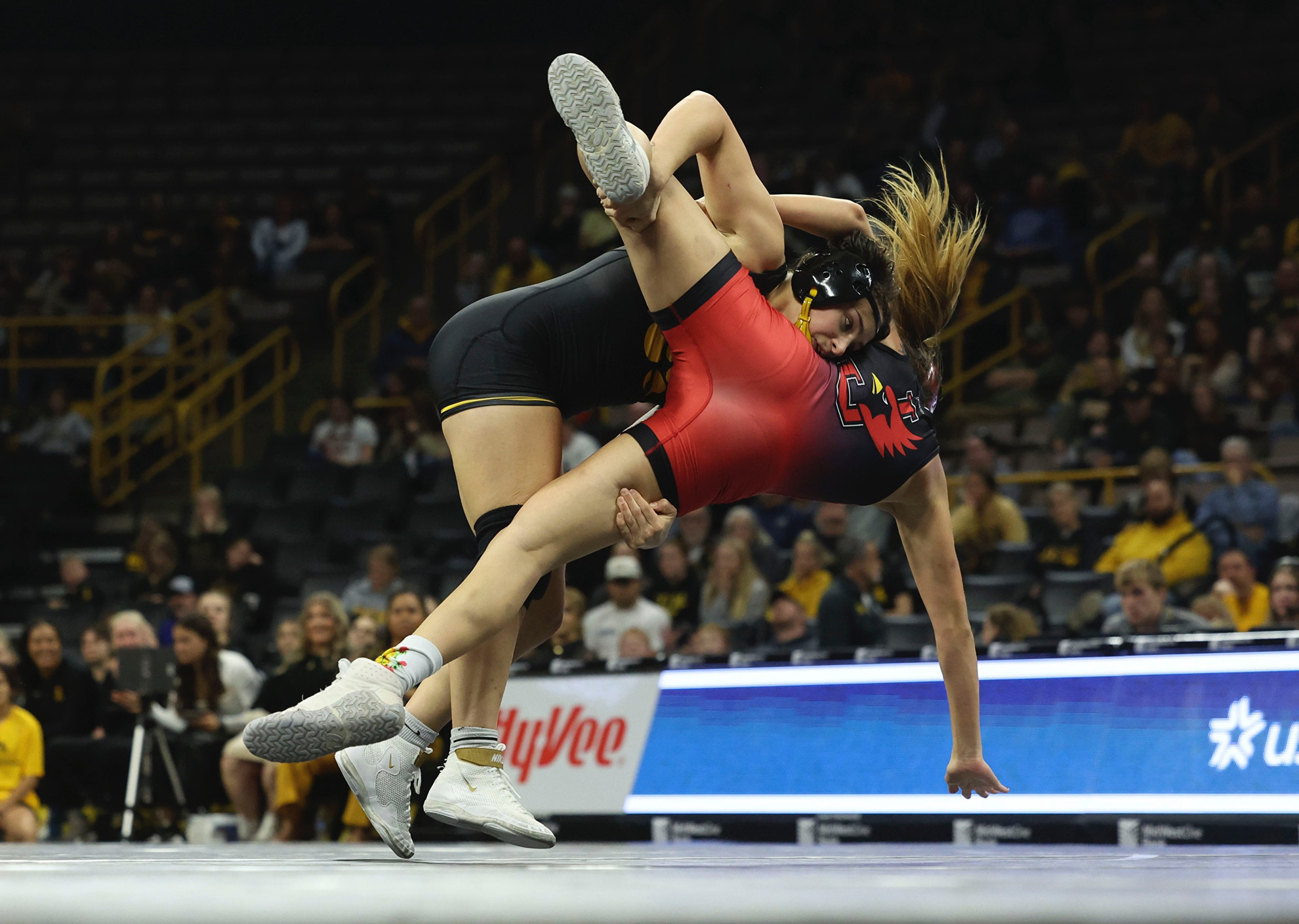 Hawkeyes Head Home for Senior Day - Iowa Hawkeyes Athletics - Official ...