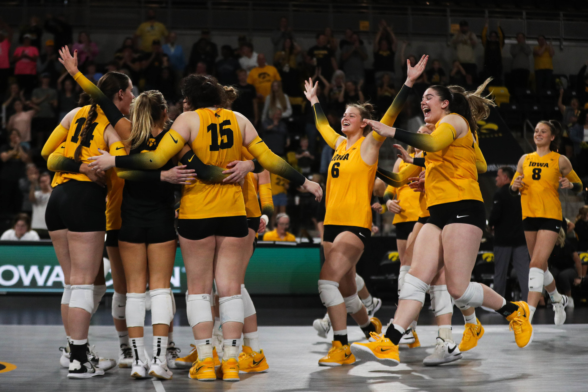 Hawkeyes Earn AVCA Team Academic Award, Honor Roll Distinction - Iowa ...