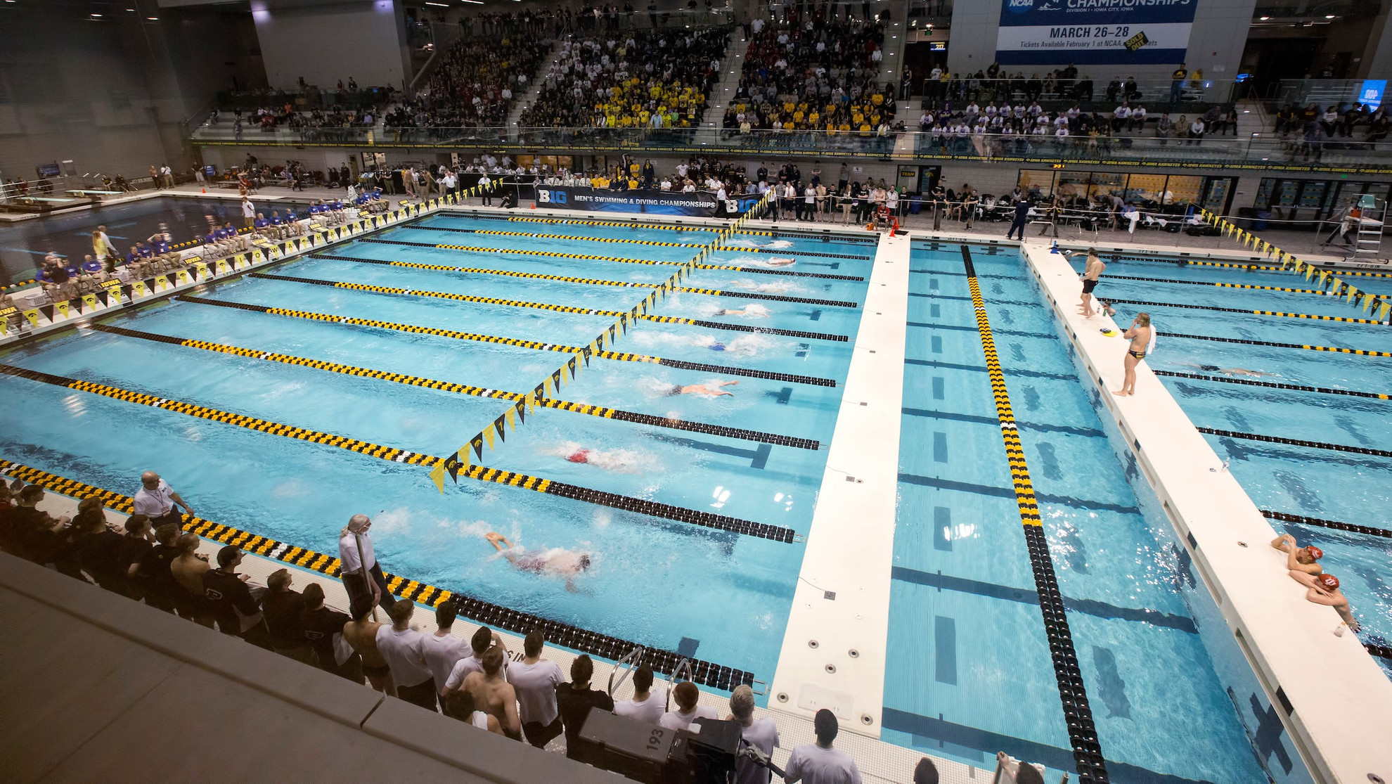 Registration Open for Iowa Swim Camps - Iowa Hawkeyes Athletics ...