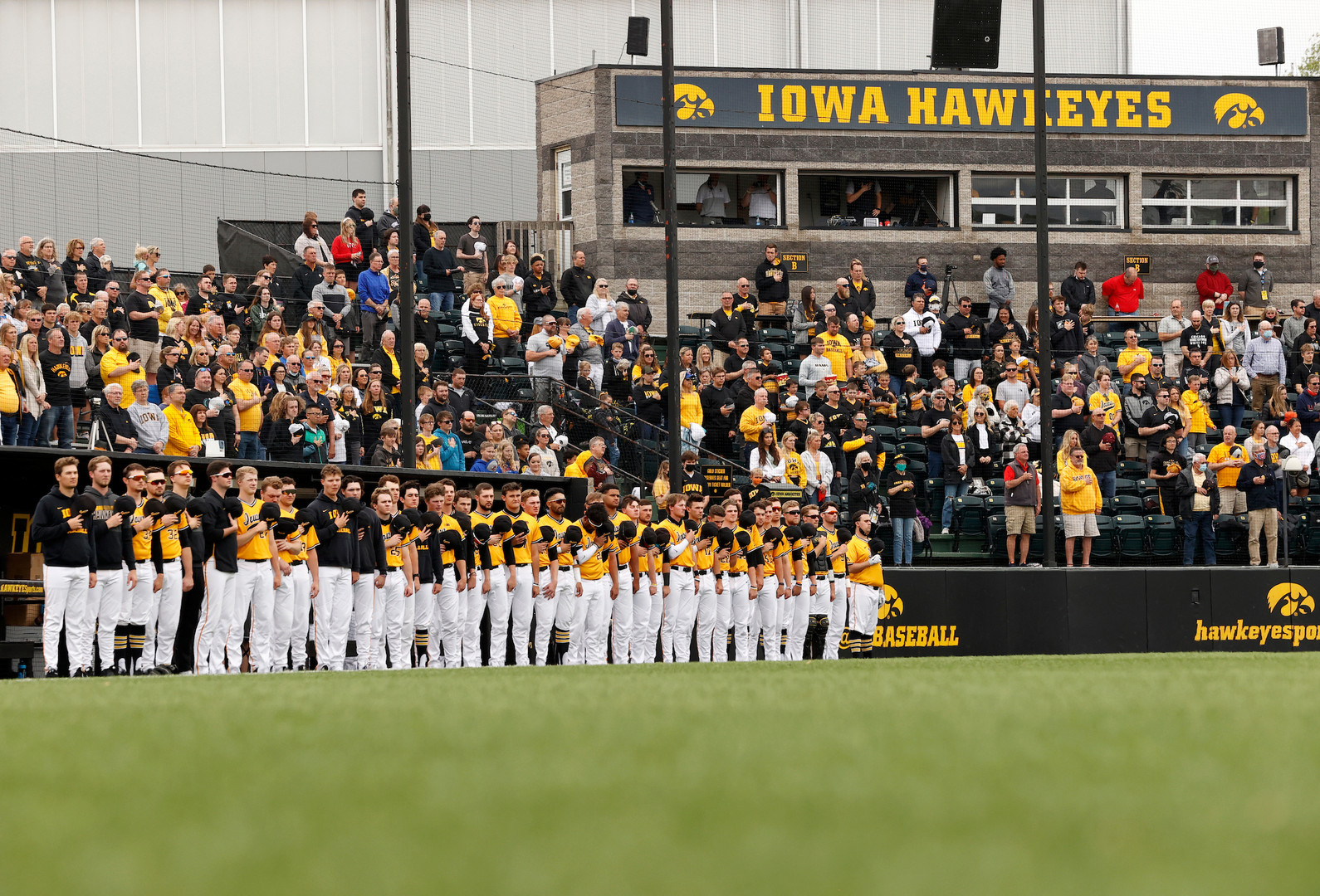 Hawkeyes Set for Summer Ball – University of Iowa Athletics