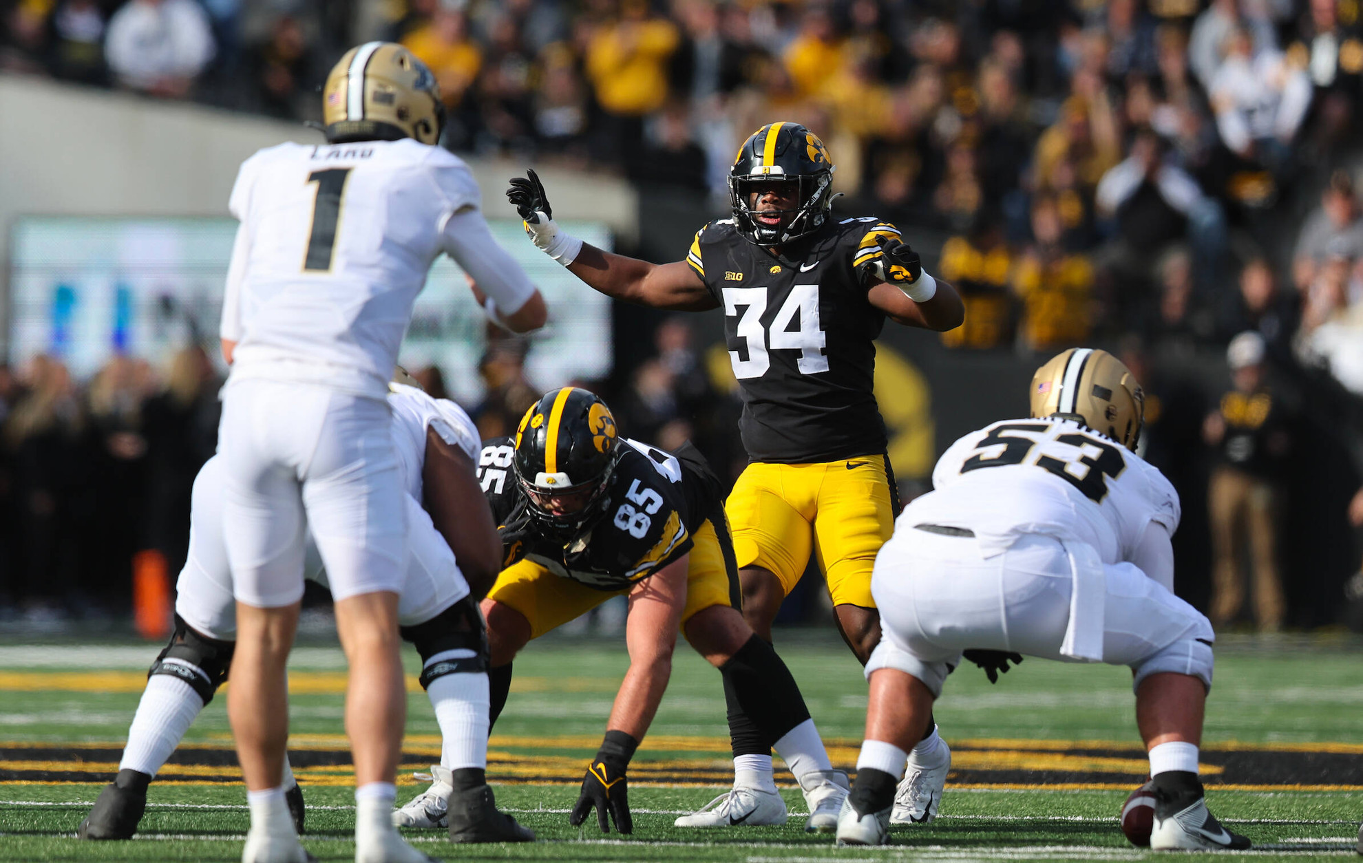 Jay Higgins Named Butkus Award Semifinalist - Iowa Hawkeyes Athletics ...